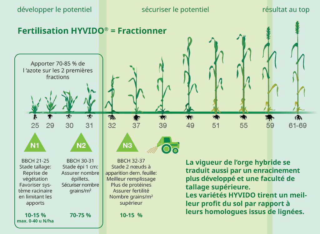 Diagramme De Fertilisation Engrais, Nutriments, Et Fertilité Des Sols